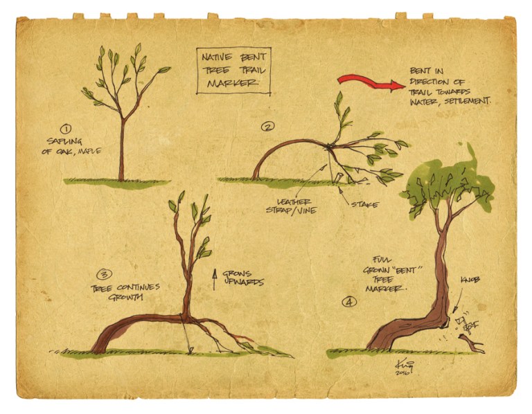 STRANGE THINGS: Old native trails once marked by bent trees. | OTTAWA ...