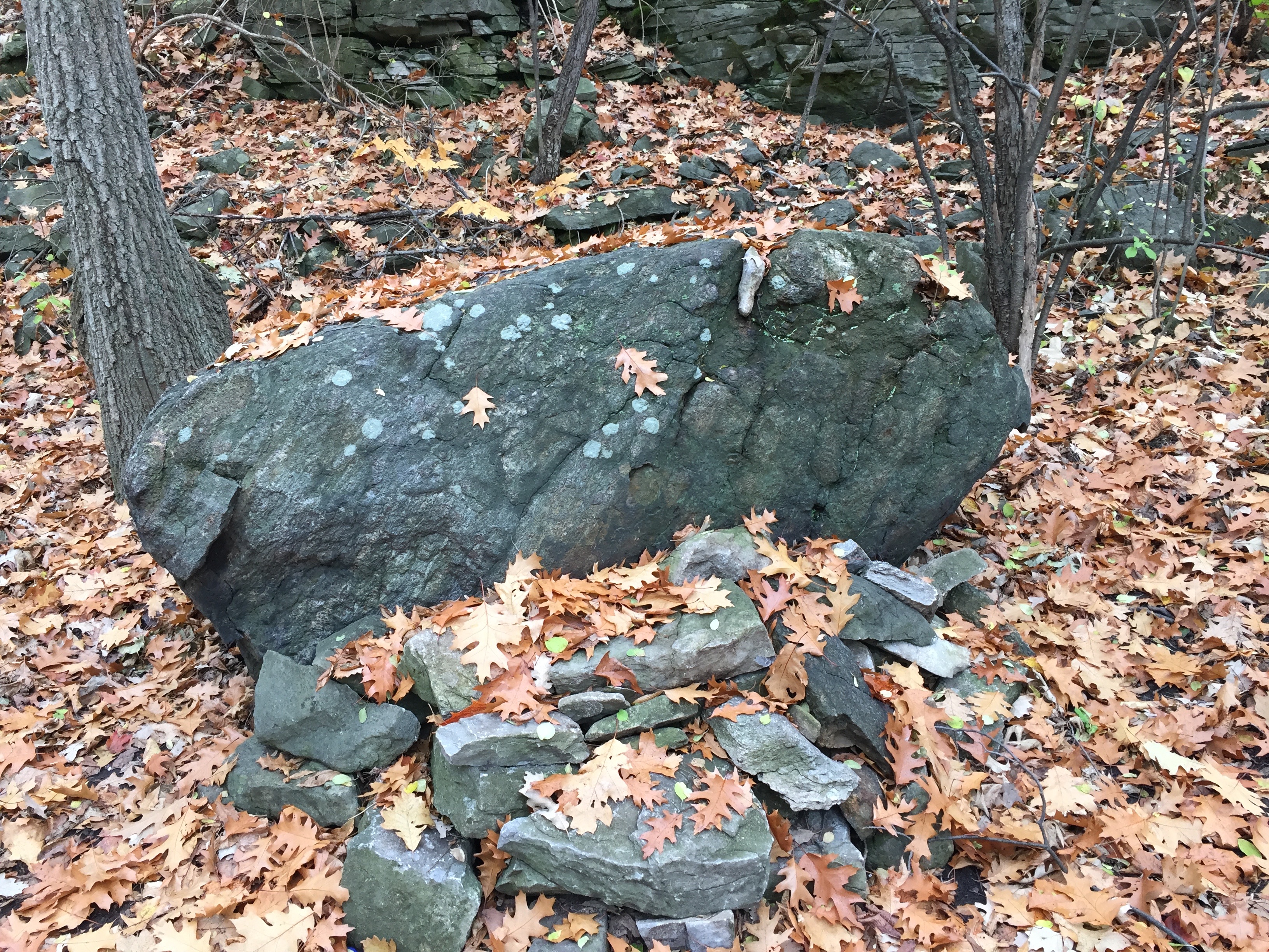 An Ancient Path Along The Ottawa River | OTTAWA REWIND