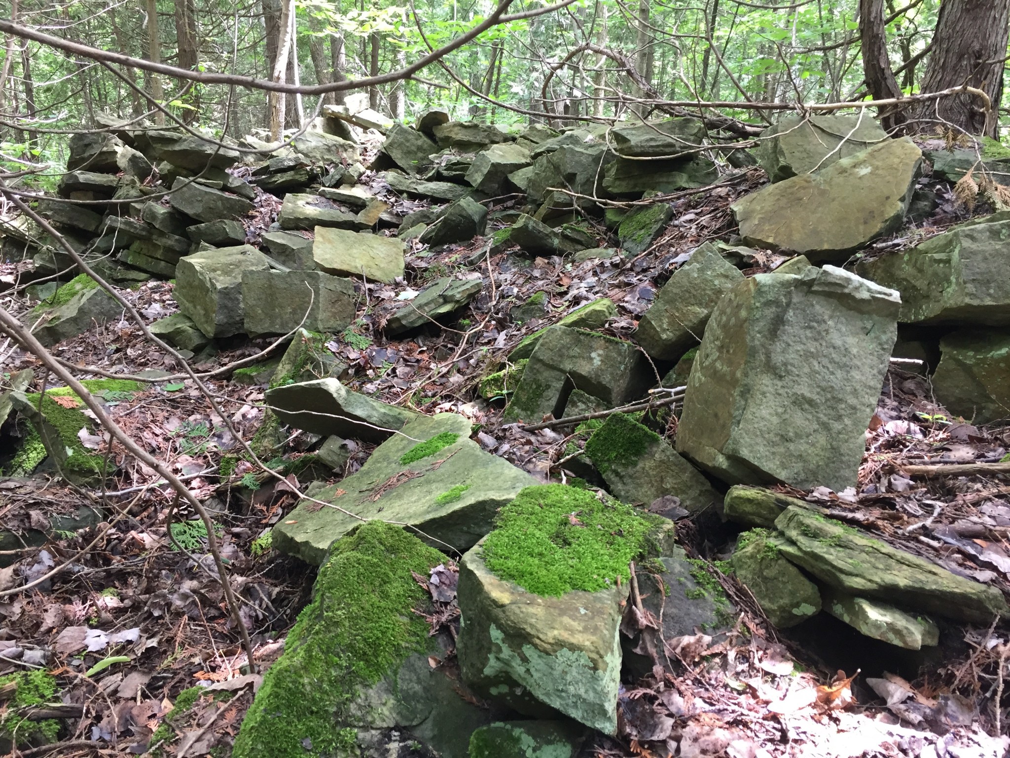 The Deserted Stone Quarry Of Canada’s Parliament Buildings | OTTAWA REWIND