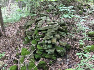 The Deserted Stone Quarry Of Canada’s Parliament Buildings | OTTAWA REWIND