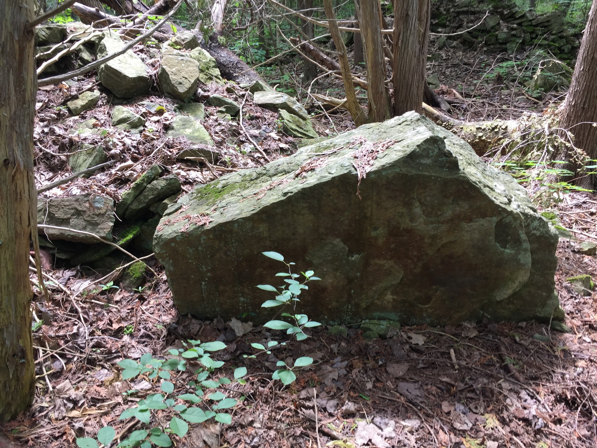 The Deserted Stone Quarry Of Canada’s Parliament Buildings | OTTAWA REWIND