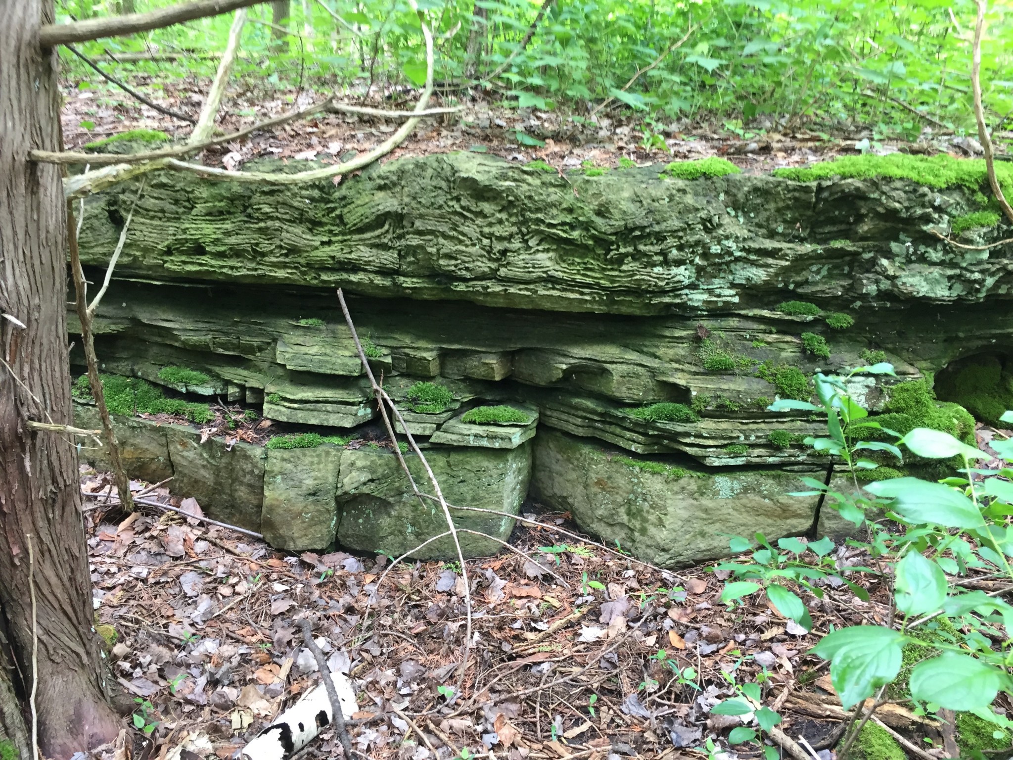 The Deserted Stone Quarry Of Canada’s Parliament Buildings | OTTAWA REWIND