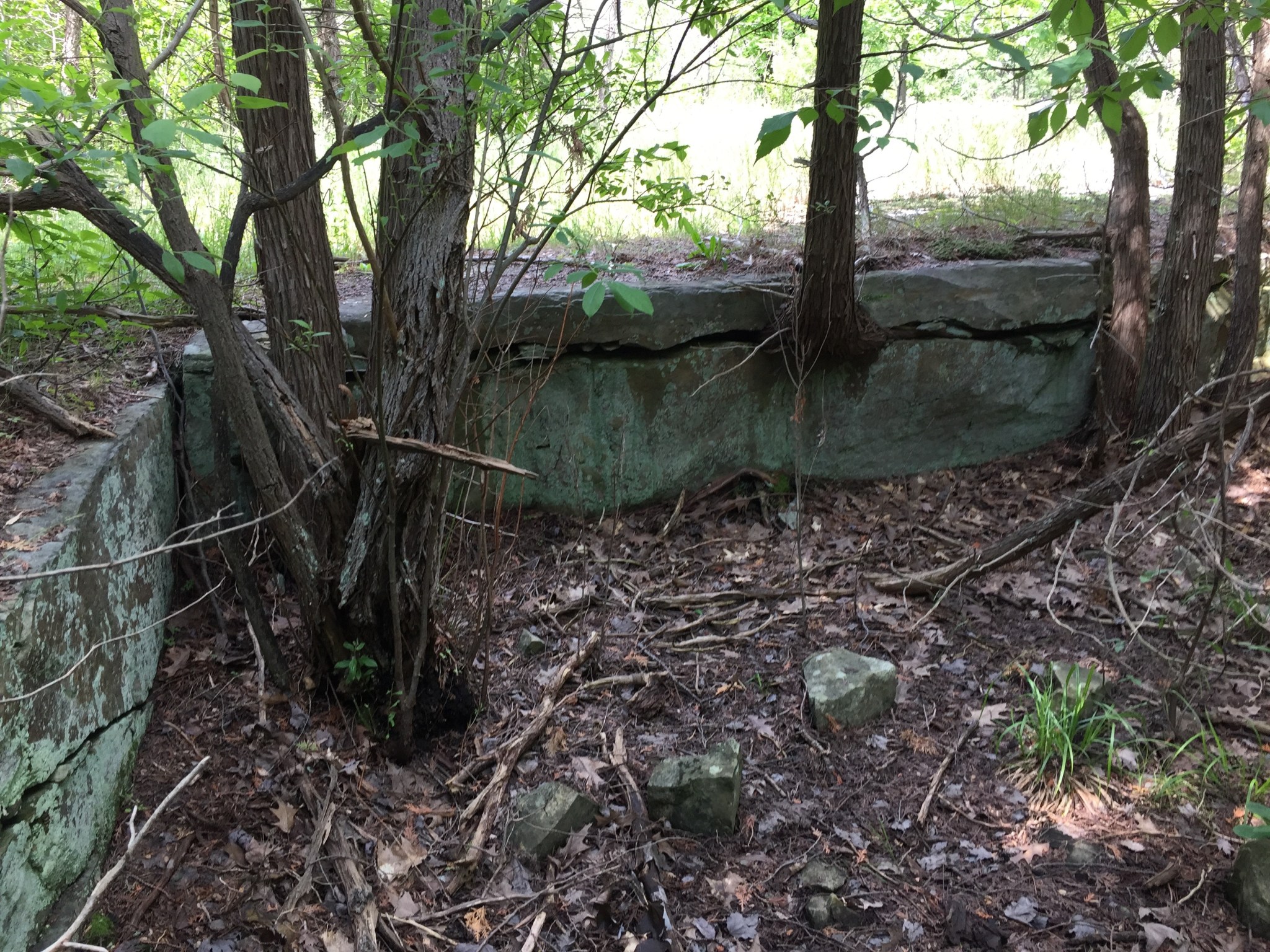 The Deserted Stone Quarry Of Canada’s Parliament Buildings | OTTAWA REWIND