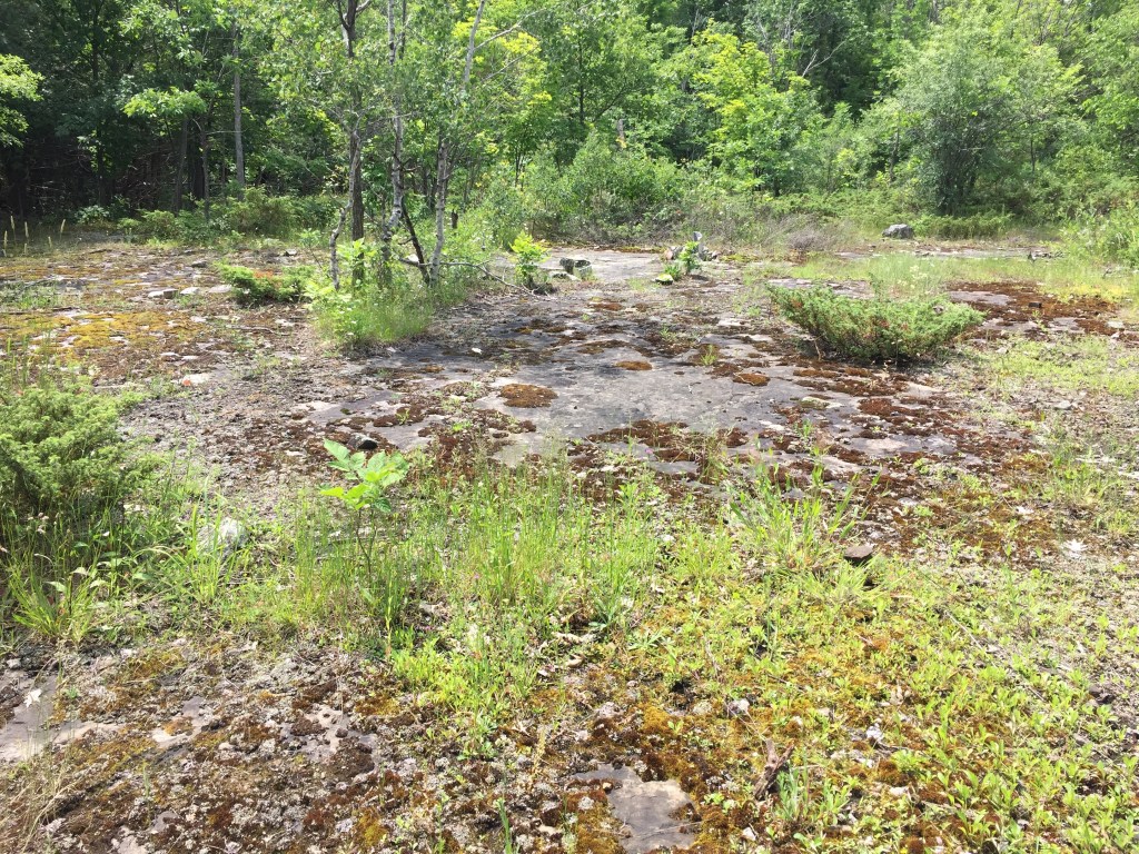 The Deserted Stone Quarry Of Canada’s Parliament Buildings | OTTAWA REWIND