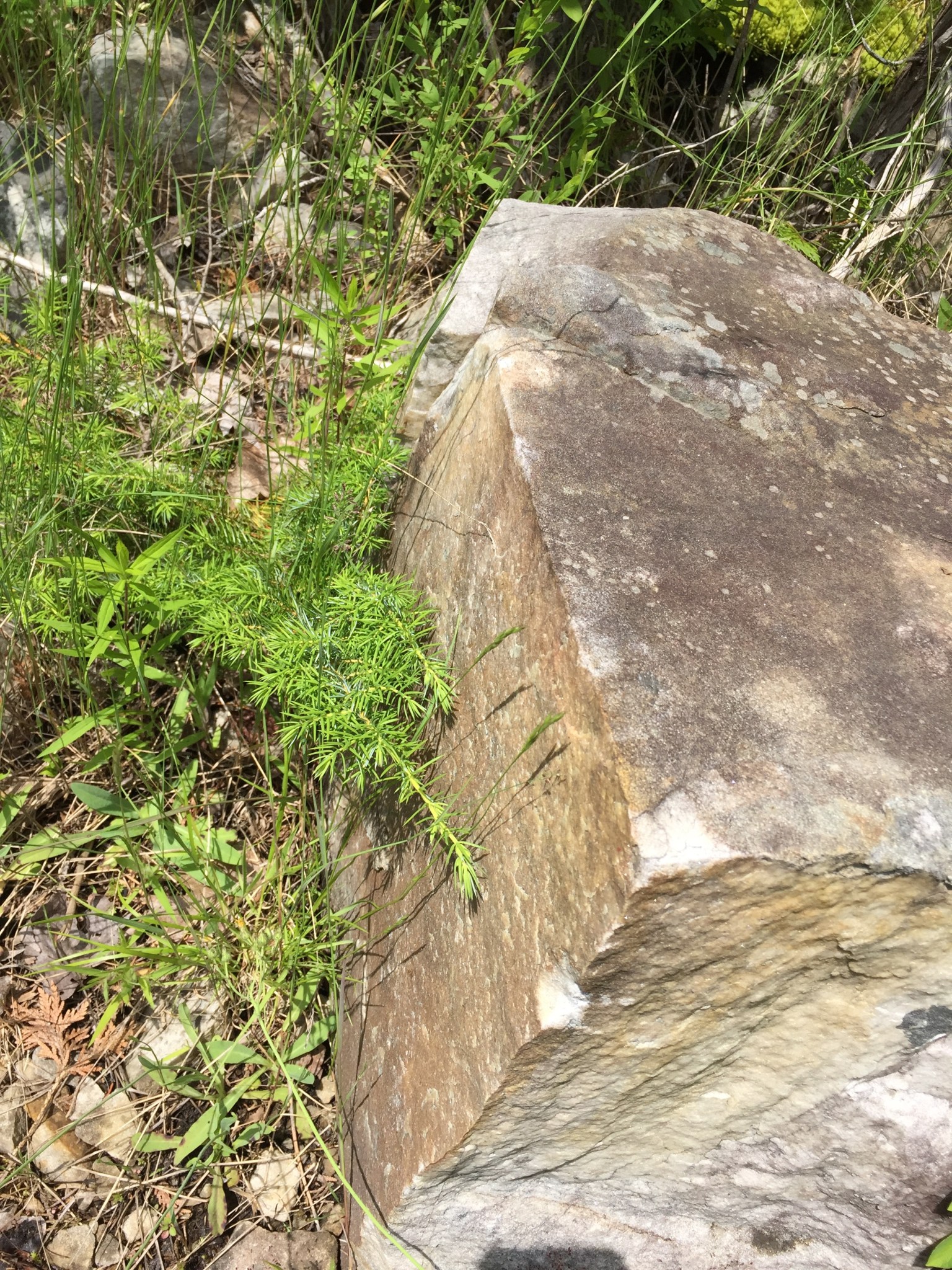 The Deserted Stone Quarry Of Canada’s Parliament Buildings | OTTAWA REWIND
