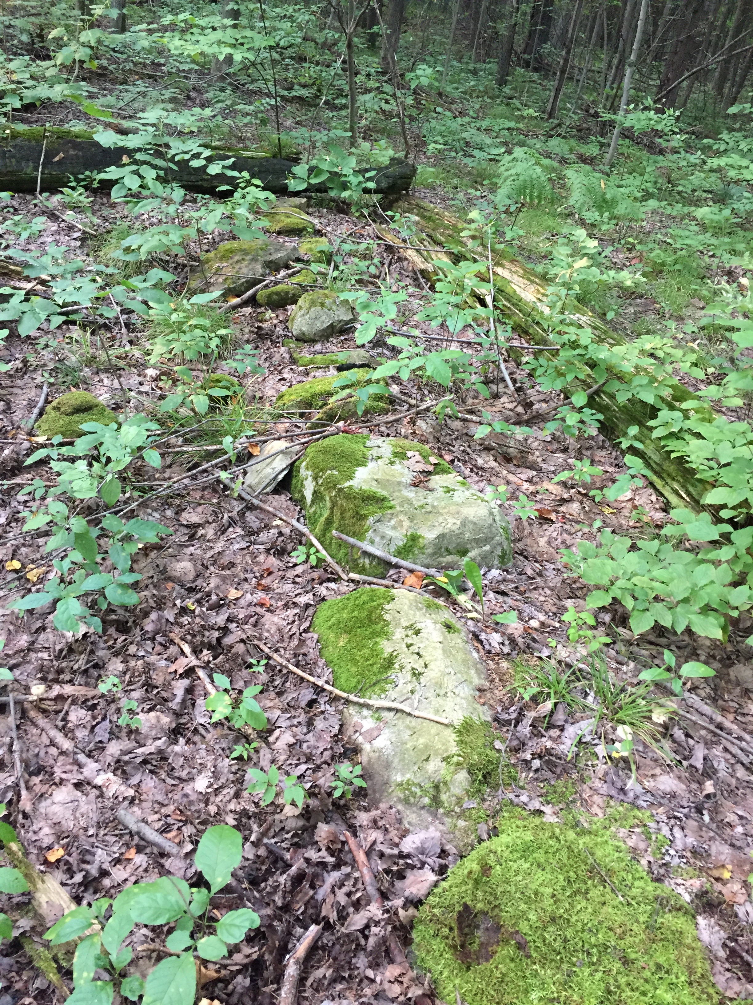 A Hidden Prohibition-era whiskey Distillery | OTTAWA REWIND