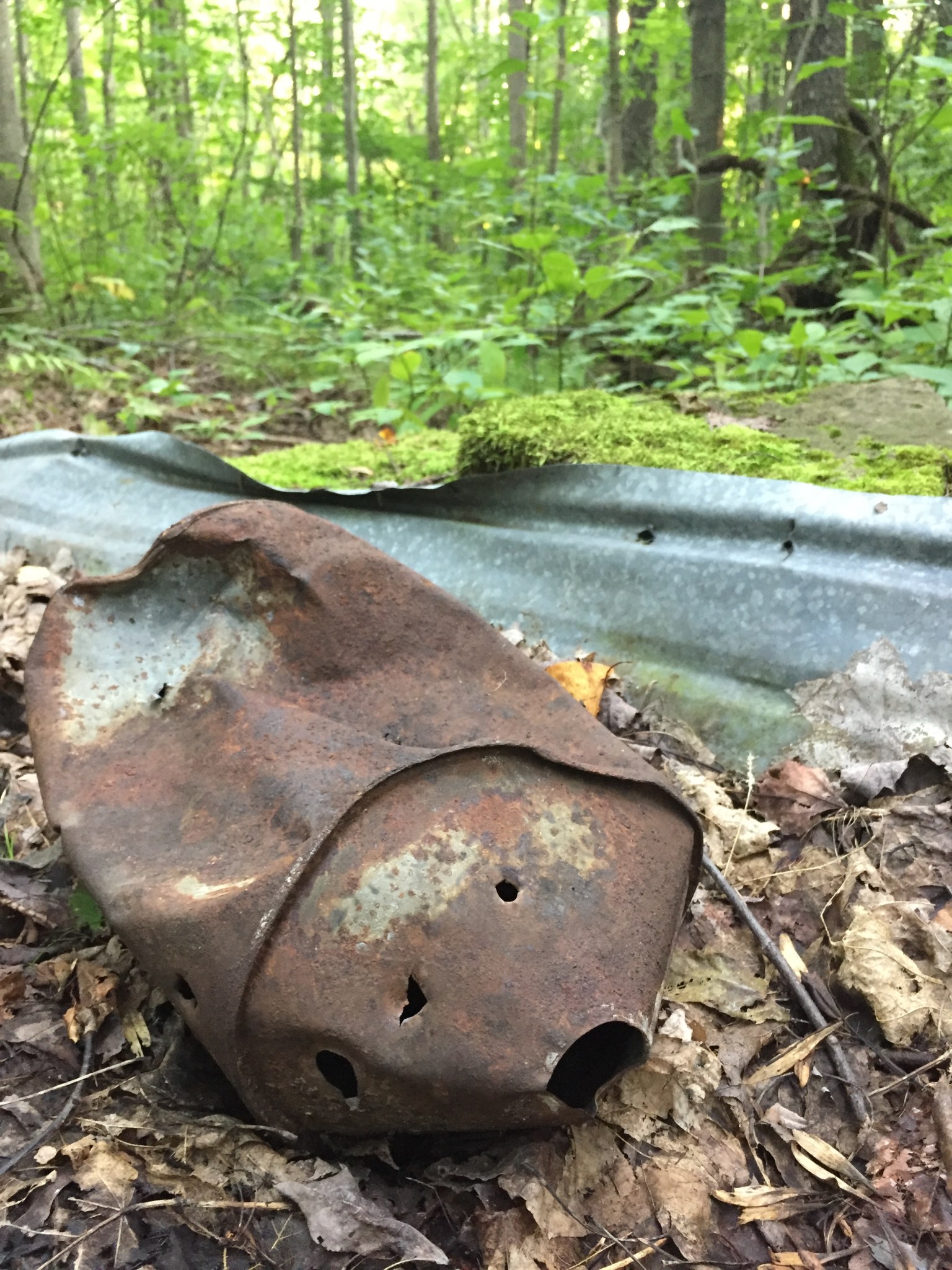 A Hidden Prohibition-era whiskey Distillery | OTTAWA REWIND