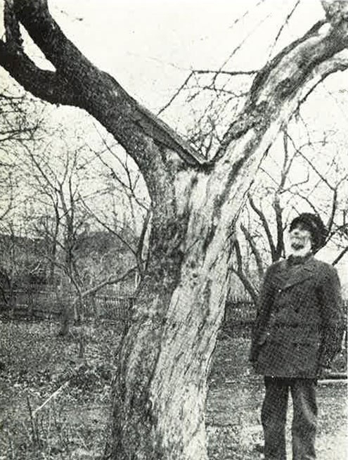 The McIntosh Tree: From Apples to Computers, The Legacy Of A Lone Tree ...