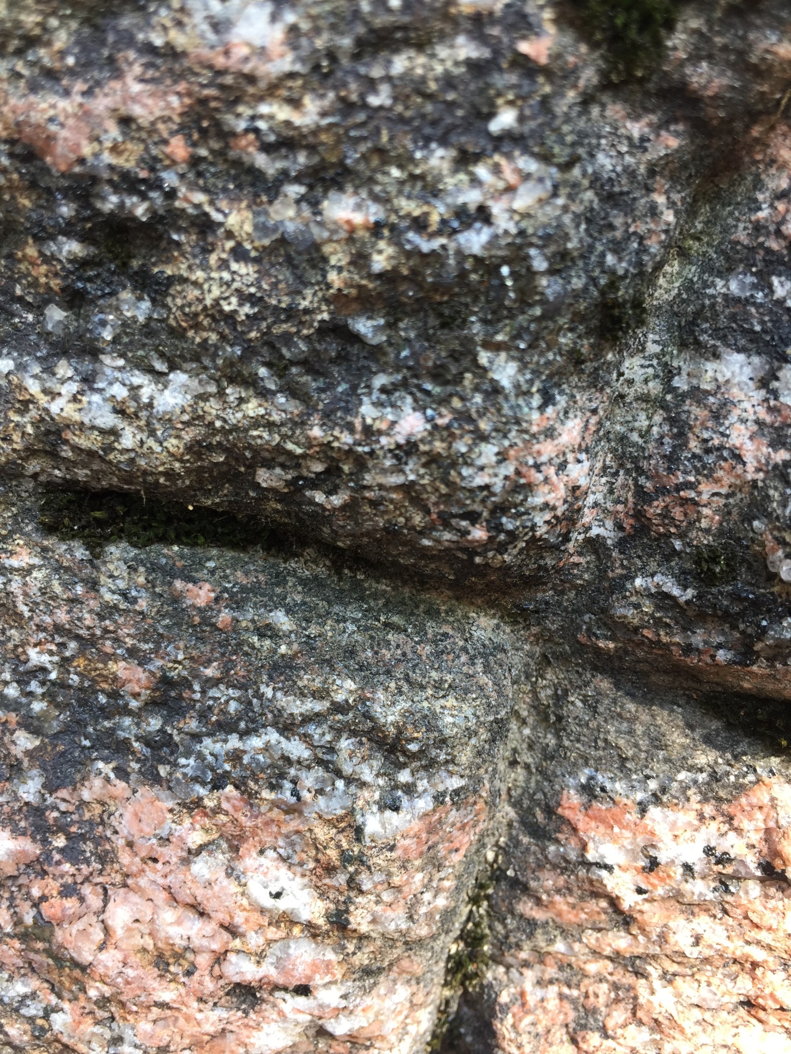 MYSTERY OF THE CARVED CROSS | OTTAWA REWIND