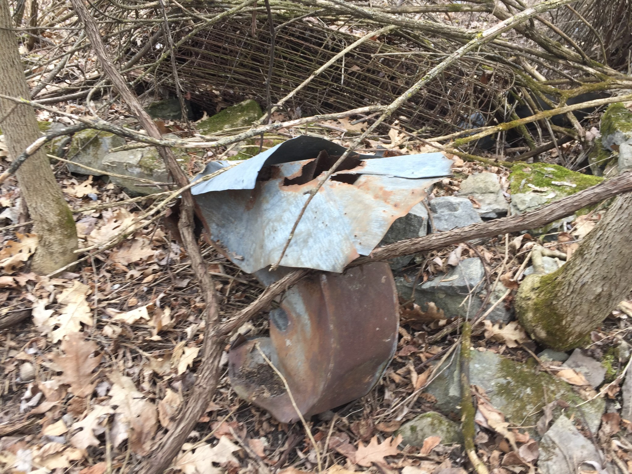 In Search Of The Lost Spring Of Carlsbad Springs | OTTAWA REWIND