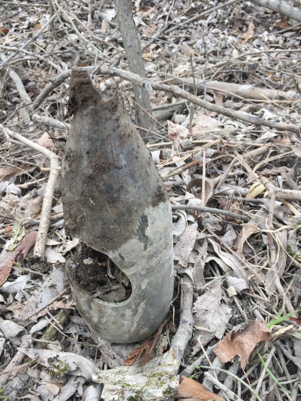 In Search Of The Lost Spring Of Carlsbad Springs | OTTAWA REWIND
